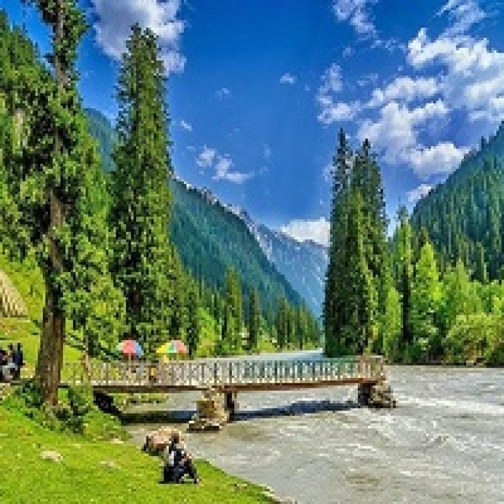 Kashmir Winter Tour Packages | 9,500 Rs Kashmir Winter Tours