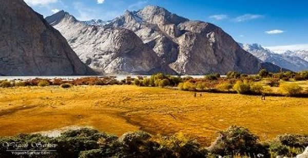 Kashmir Ladakh Tour Packages | Leh Ladakh Kashmir Packages